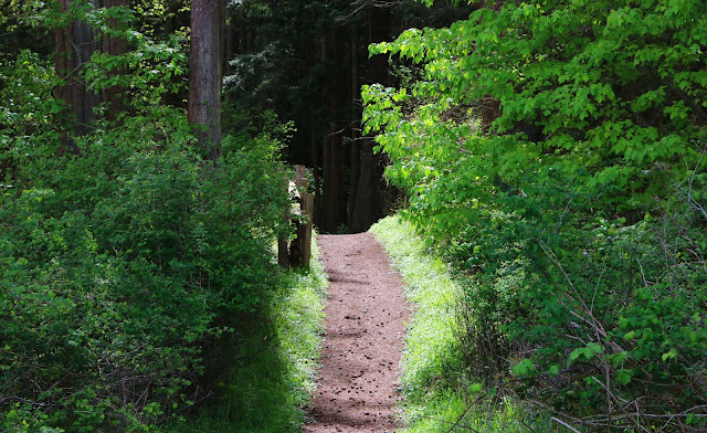 Gecko Paddler: Thetis Island Retreat April 14-17
