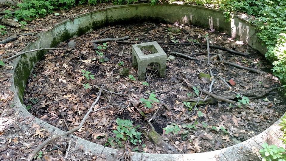 Shadows on the Wall: An Online Dark Shadows Fanzine: Dark Shadows 50th ...