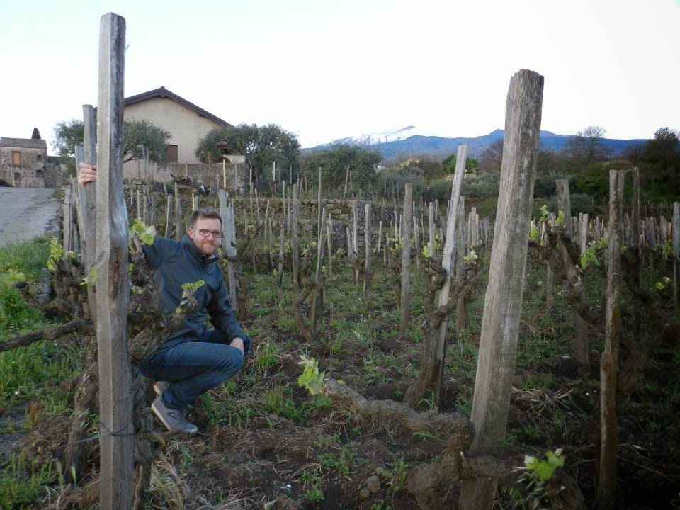 divinando: “Creare” la propria identità. Winetour&tasting a Tenuta di ...