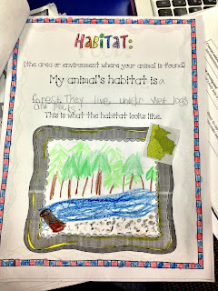 The Library Voice: Our Little Kindergarten Researchers Show "Wonder and ...