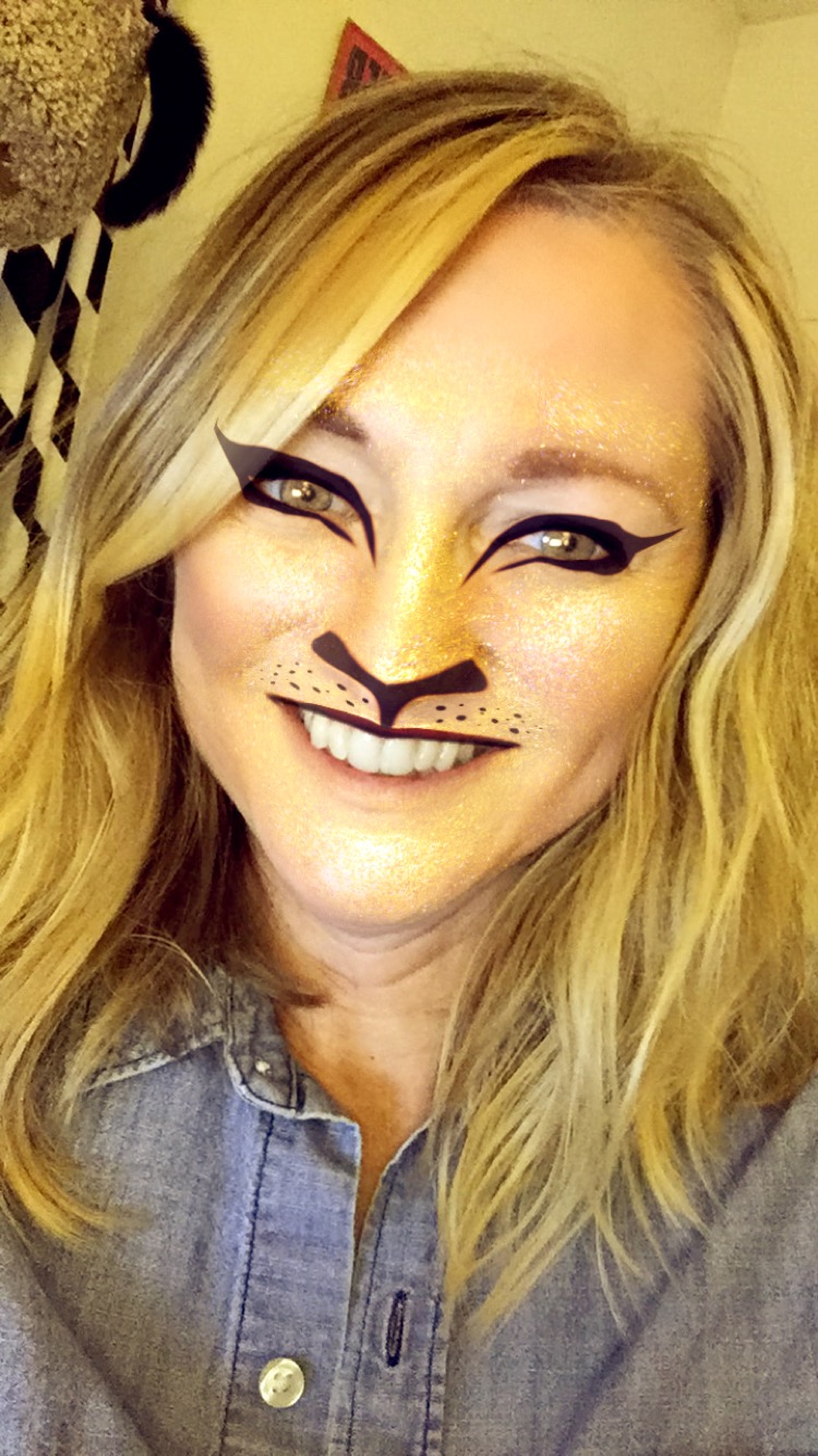 3 Signs Youre A Crazy Cat Lady Mygreatcat Pieces Of A Mom