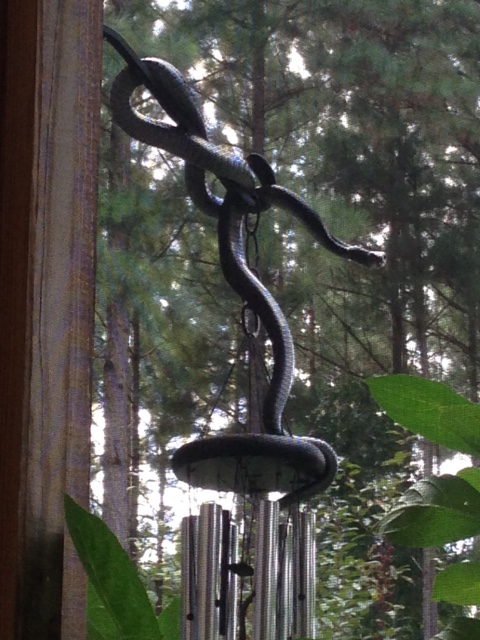 Miss Phoebe's Perch: A snake in the grass, or at least one on the wind ...