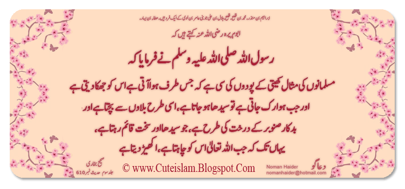 Hadiths About Sickness And Difficulties With Urdu Urdu Islamic hadiths-about-sickness-and-difficulties-with-urdu-urdu-islamic