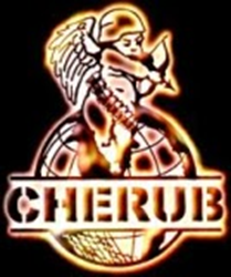 Meg@biblio: Atividade Cherub