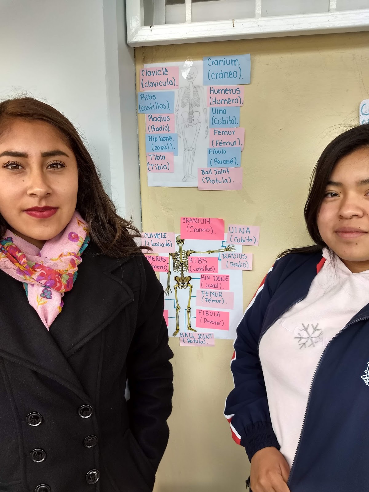 Blog Miss Isabel Cadena Arreola: Parts of the body!!