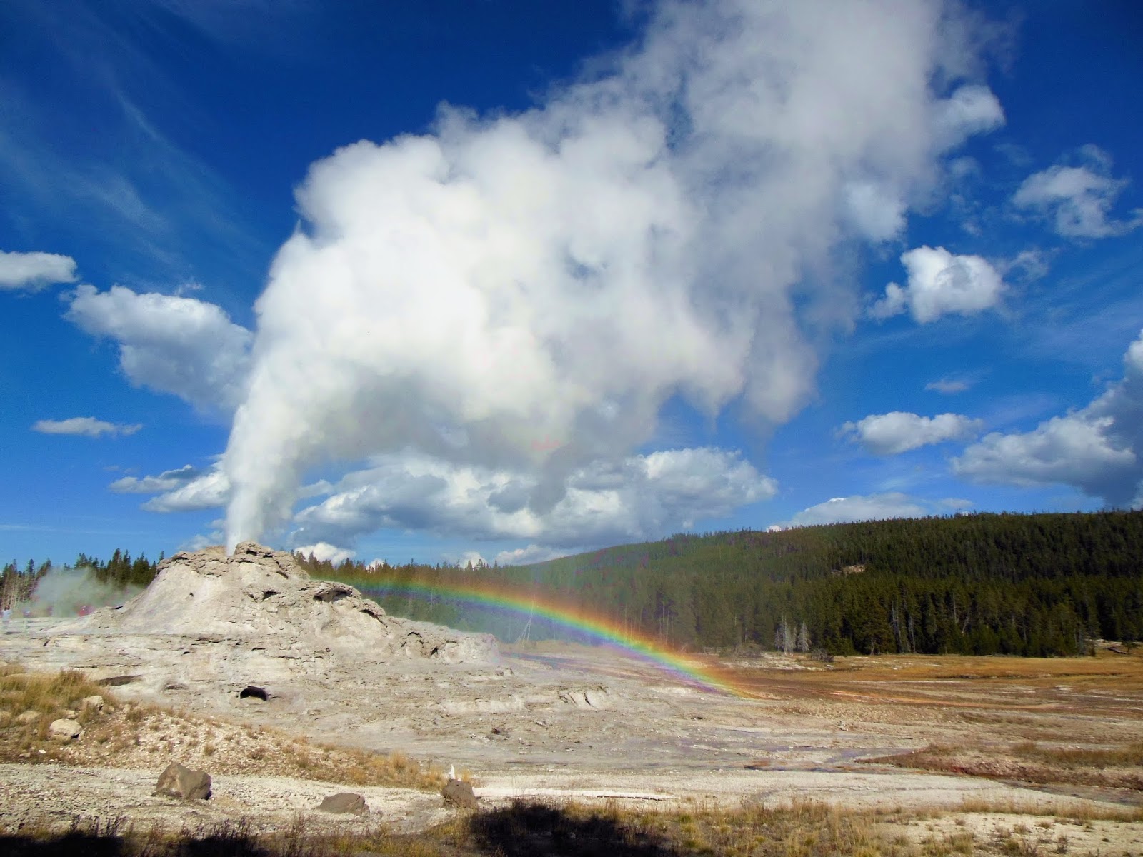Focusing On Travel : Yellowstone: A Geyser Gazers Guide to the Upper ...