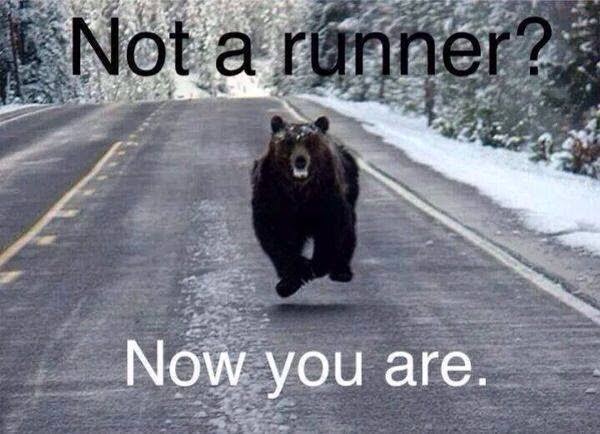 NOT A RUNNER? NOW YOU ARE. - Quotes