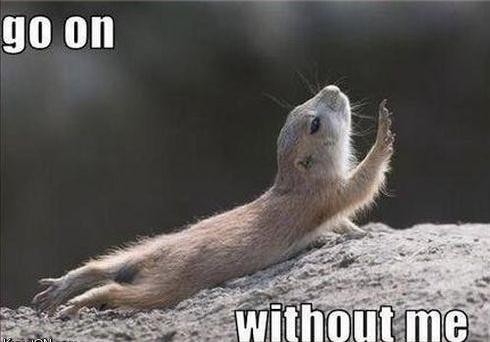 SNAPS 4 ALL: Byeeeeeeee