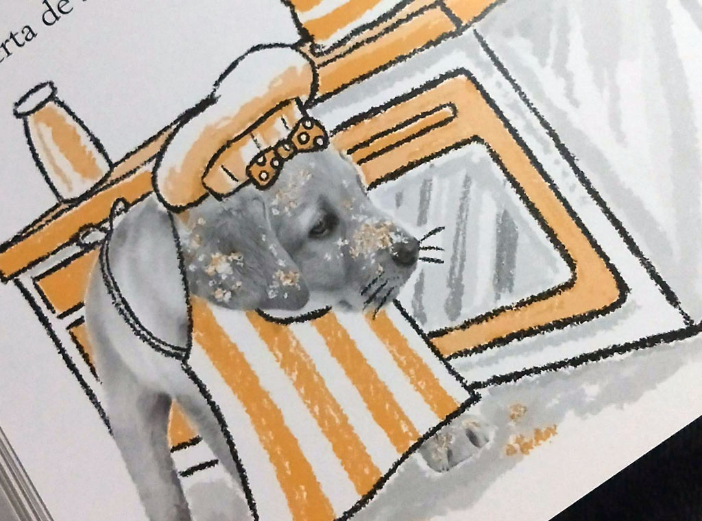 Reseña: Dra. Kitty Cat, Daisy la gatita - Jane Clarke - Papá Lector