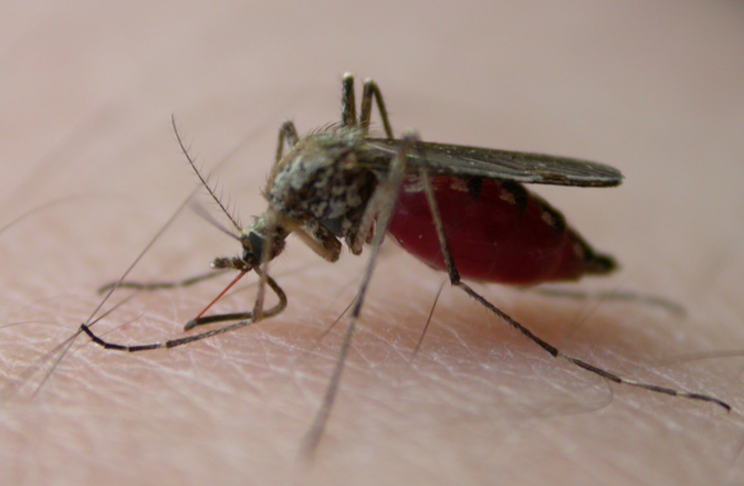 25 abril salud No comments