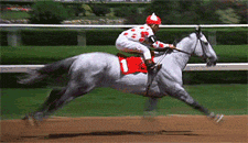 DIFERENCIA HIPICA LA RINCONADA