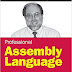 Professional Assembly Language (Programmer to Programmer) by Richard ...
