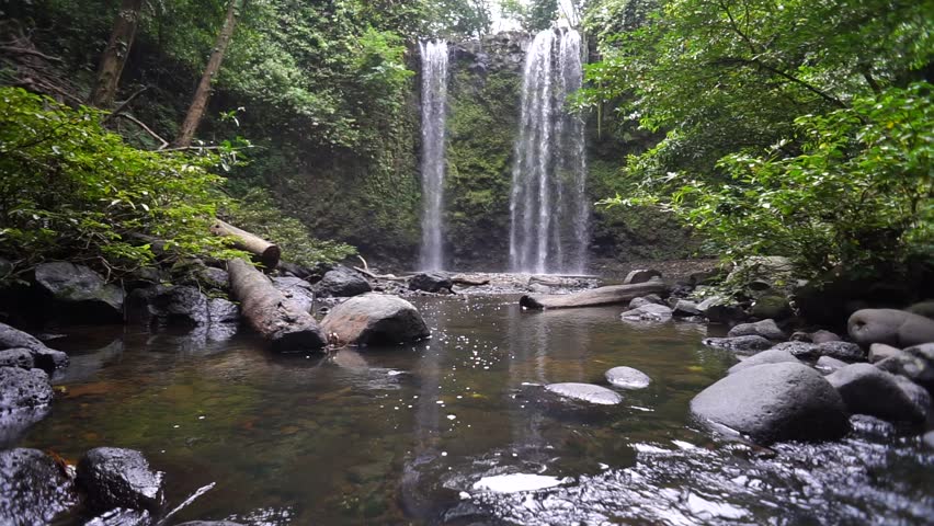 Jungle Tracking (Sabah State) - Malaysia Track