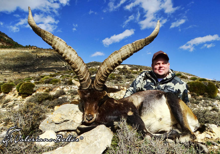 Spanish Ibex Hunts | Ibex Hunting in Spain | ibexhuntspain.com