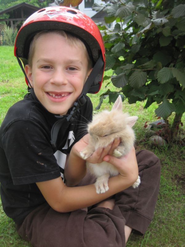 Kinder Days....: Rabbit Unit Study