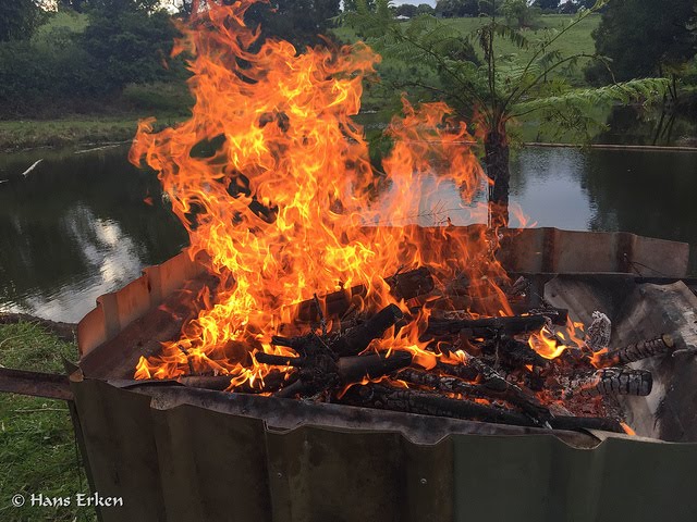 Our Permaculture Life: Improve Your Garden Soil and Food Quality with ...