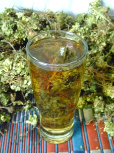 BUAT RAMUAN PENYUBUR KANDUNGAN | RUMPUT KEBAR OBAT KESUBURAN