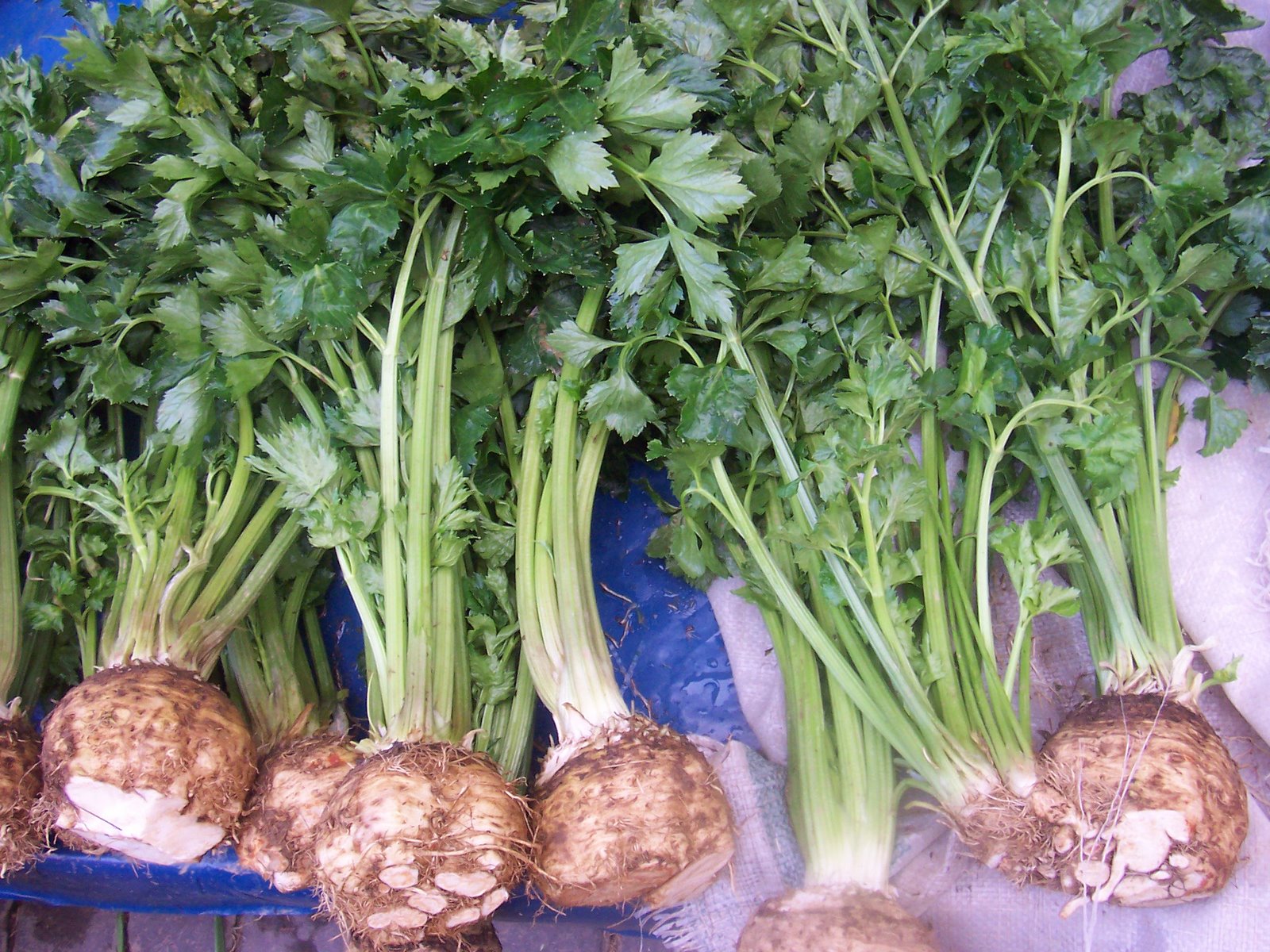 Annemin kereviz yemeği | Yemek Tarifleri