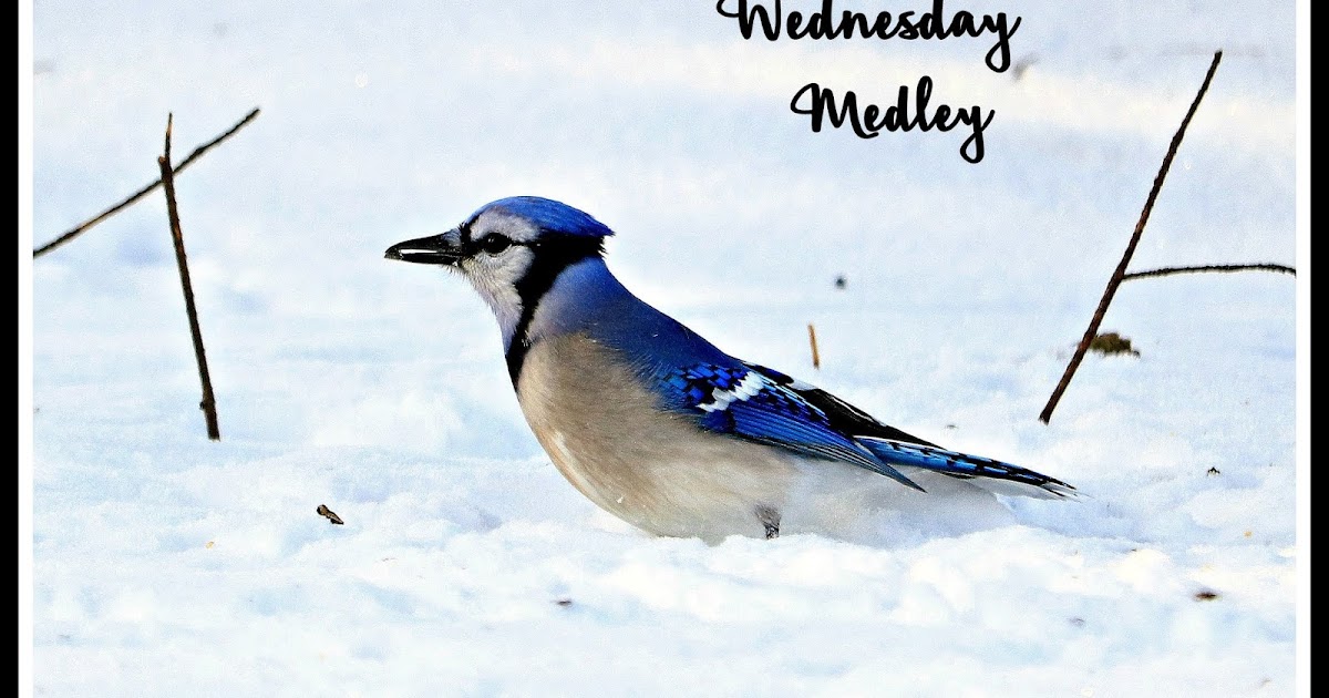 Doin' Nuttin', Fig Newtons, & First Dates - Preppy Empty Nester F