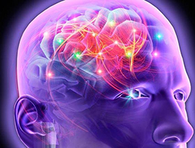 El Cerebro de Niños y Adolescentes: Optogenética – La Gran Revolución ...