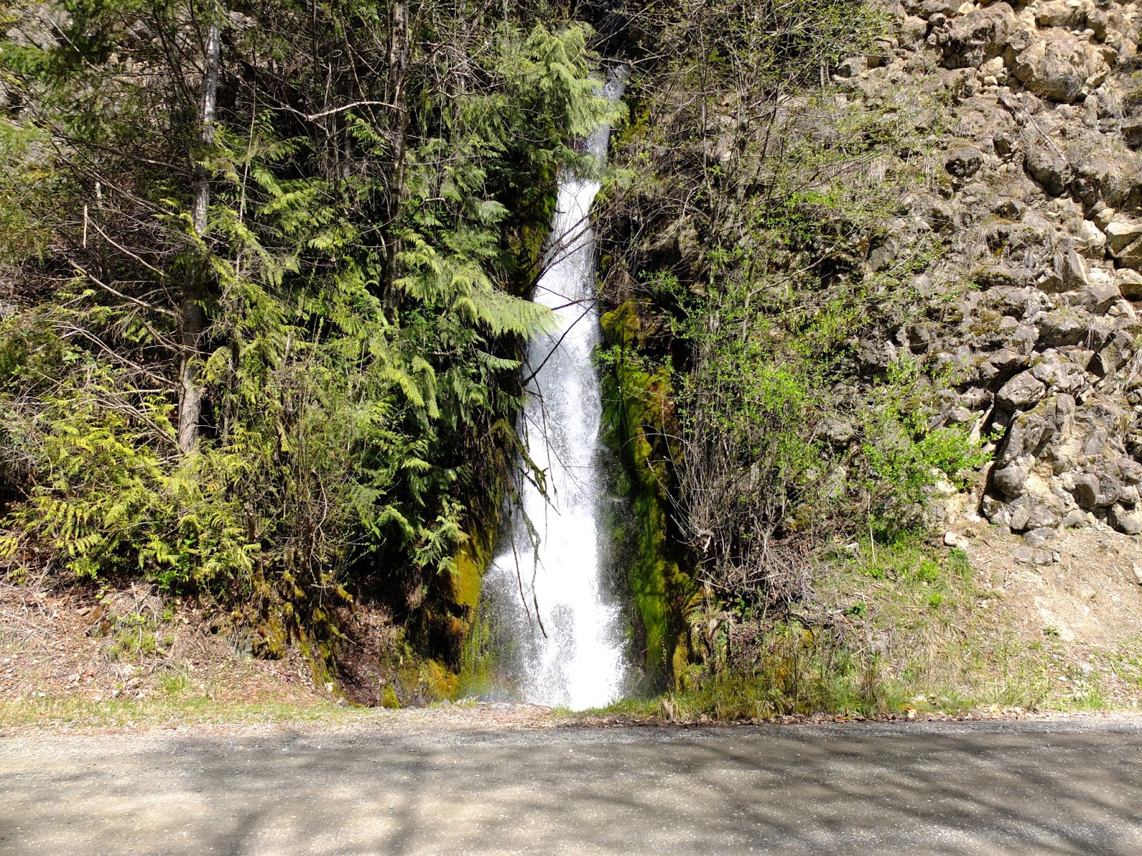 x over it: Mt Rose hike