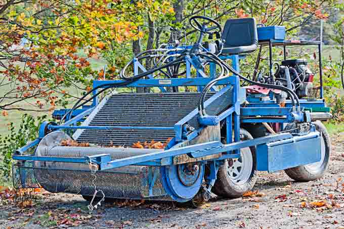 East Gwillimbury CameraGirl: Cranberries/ Our World