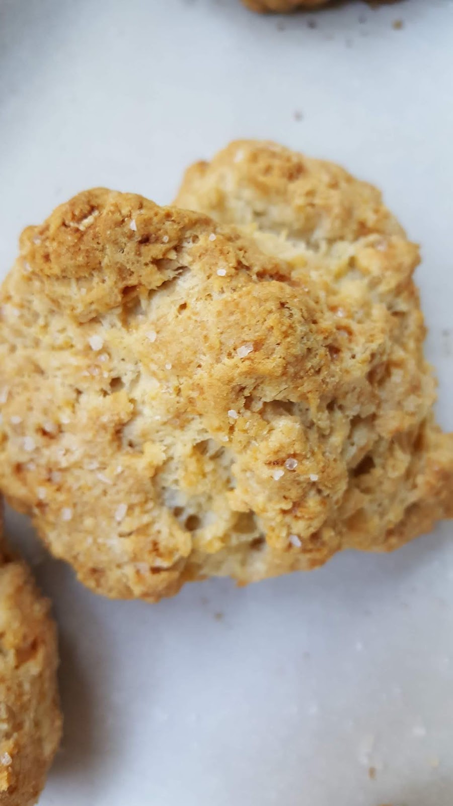 Recipe: Hot, Buttery, Flaky Biscuits: Gluten-Free, Nut-Free