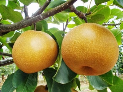 Armut resimleri | Anlamlı Resimler