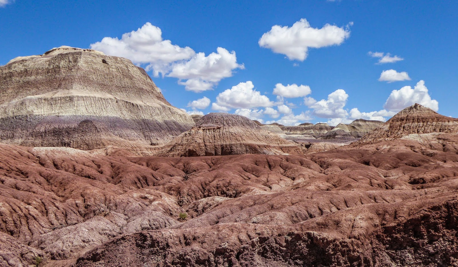 cruisingat60: And lived to tell about it