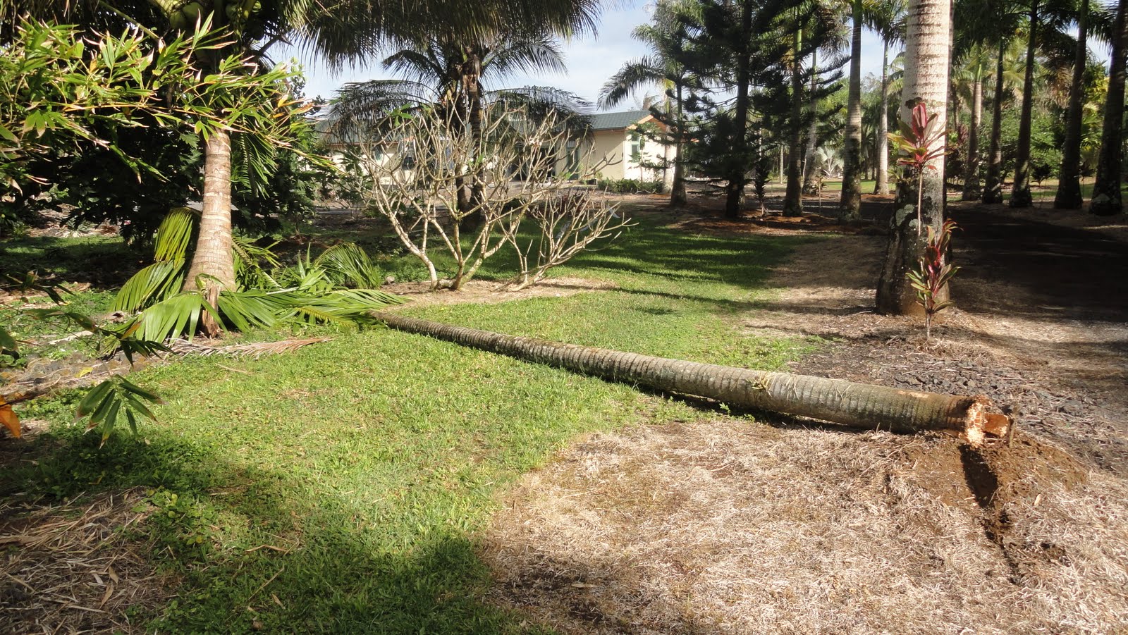 One Kalepa Point: AT LONG LAST