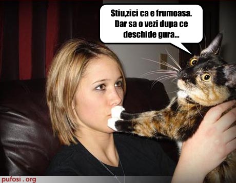 Imagini Haioase ~ Blog D3mon