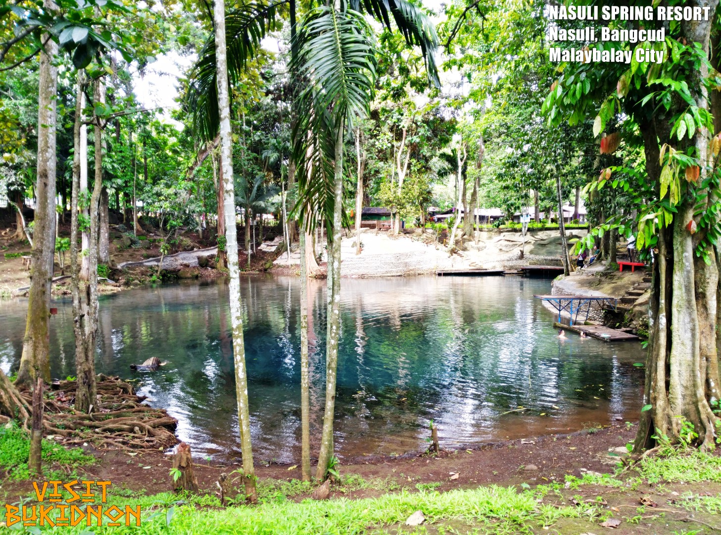 BUKIDNON UNLIMITED: NASULI SPRING RESORT