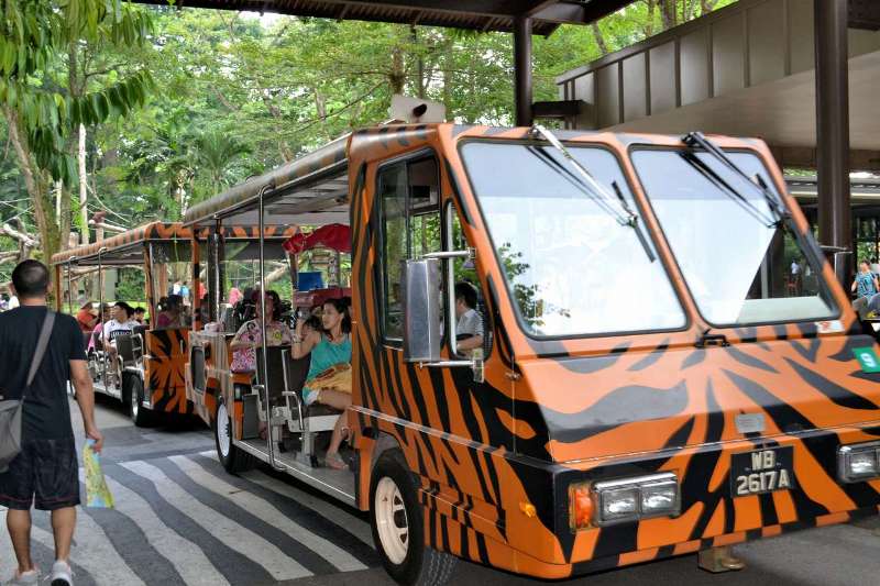 wandering... can't go home: Singapore Zoo