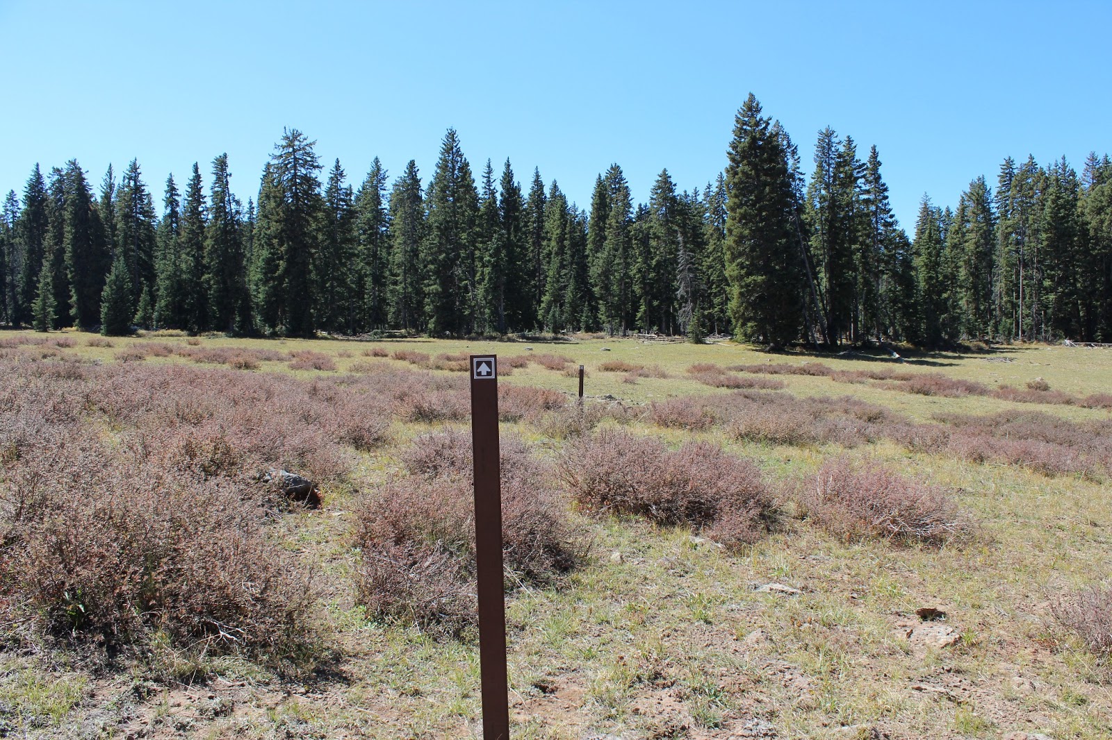 gjhikes.com: Carson Lake