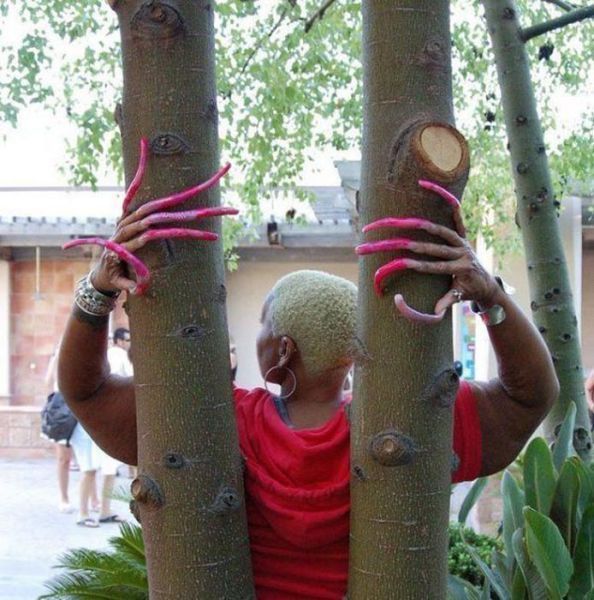 Funny Freast: Incredible long nails