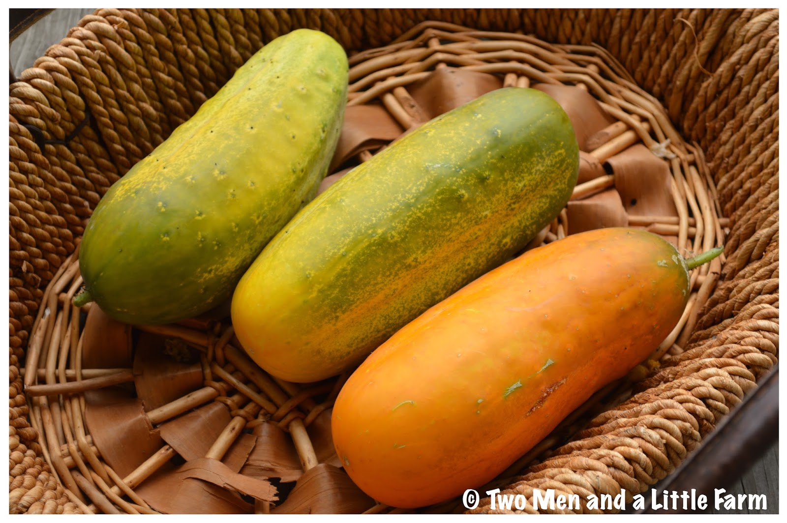 Two Men and a Little Farm: REALLY GOOD WEEKEND HARVEST