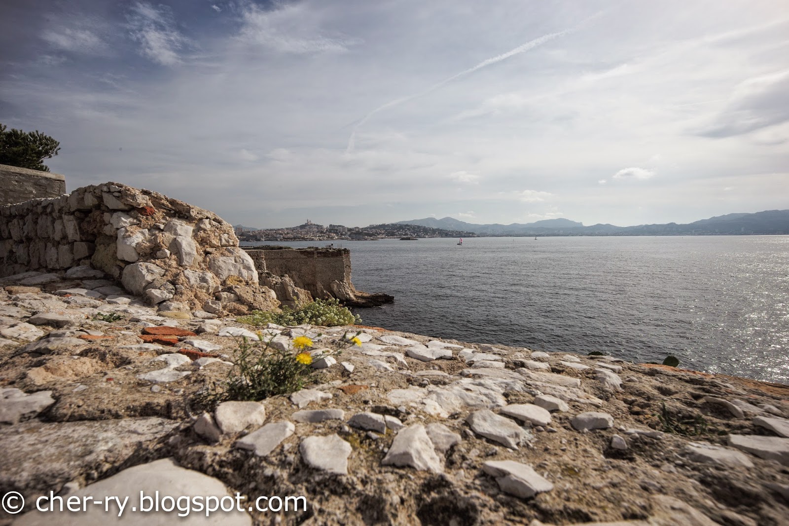 Life of a Lil Notti Monkey: Island Hopping in Marseille, France