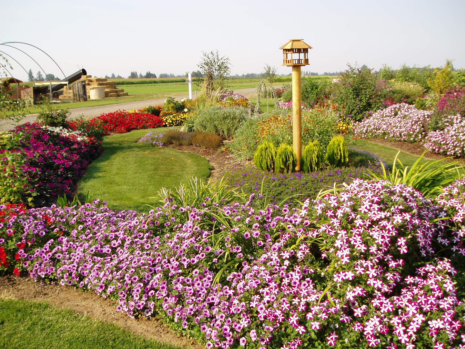 Thom Zehrfeld Photography : Bauman Farms Garden