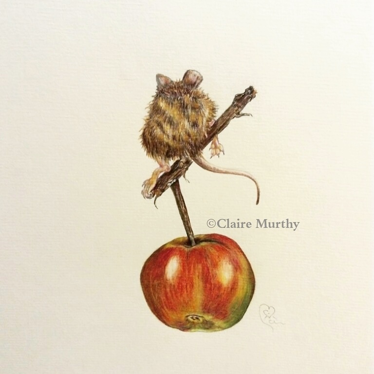 British Wildlife Art : Mice