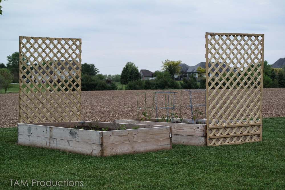 The Tech Grandma: raised garden beds with trellis