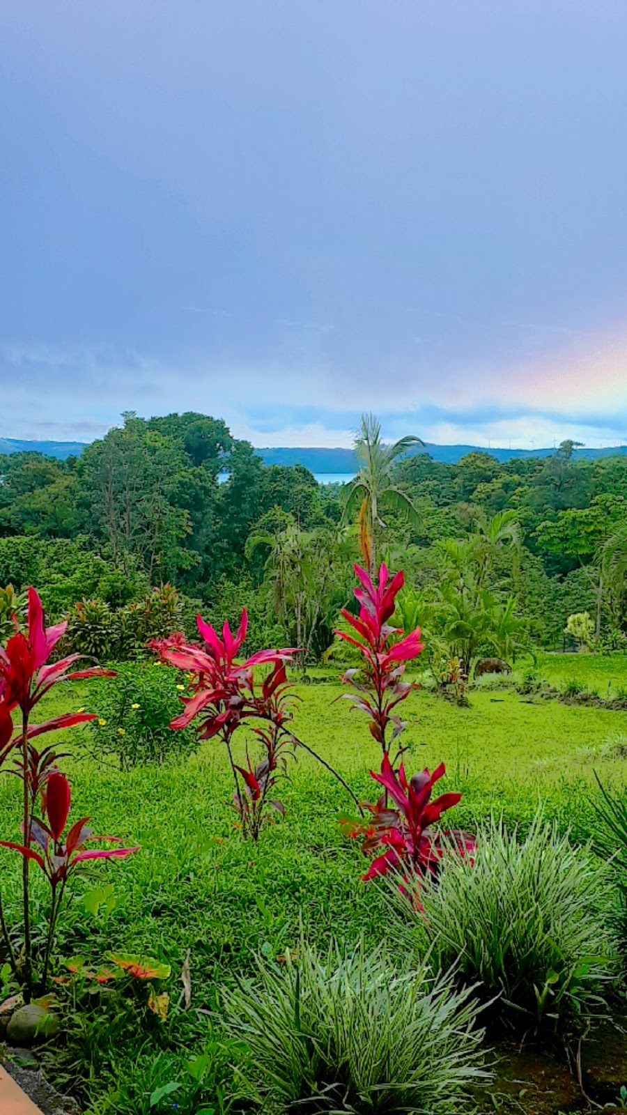 Hotel la Rana de Arenal