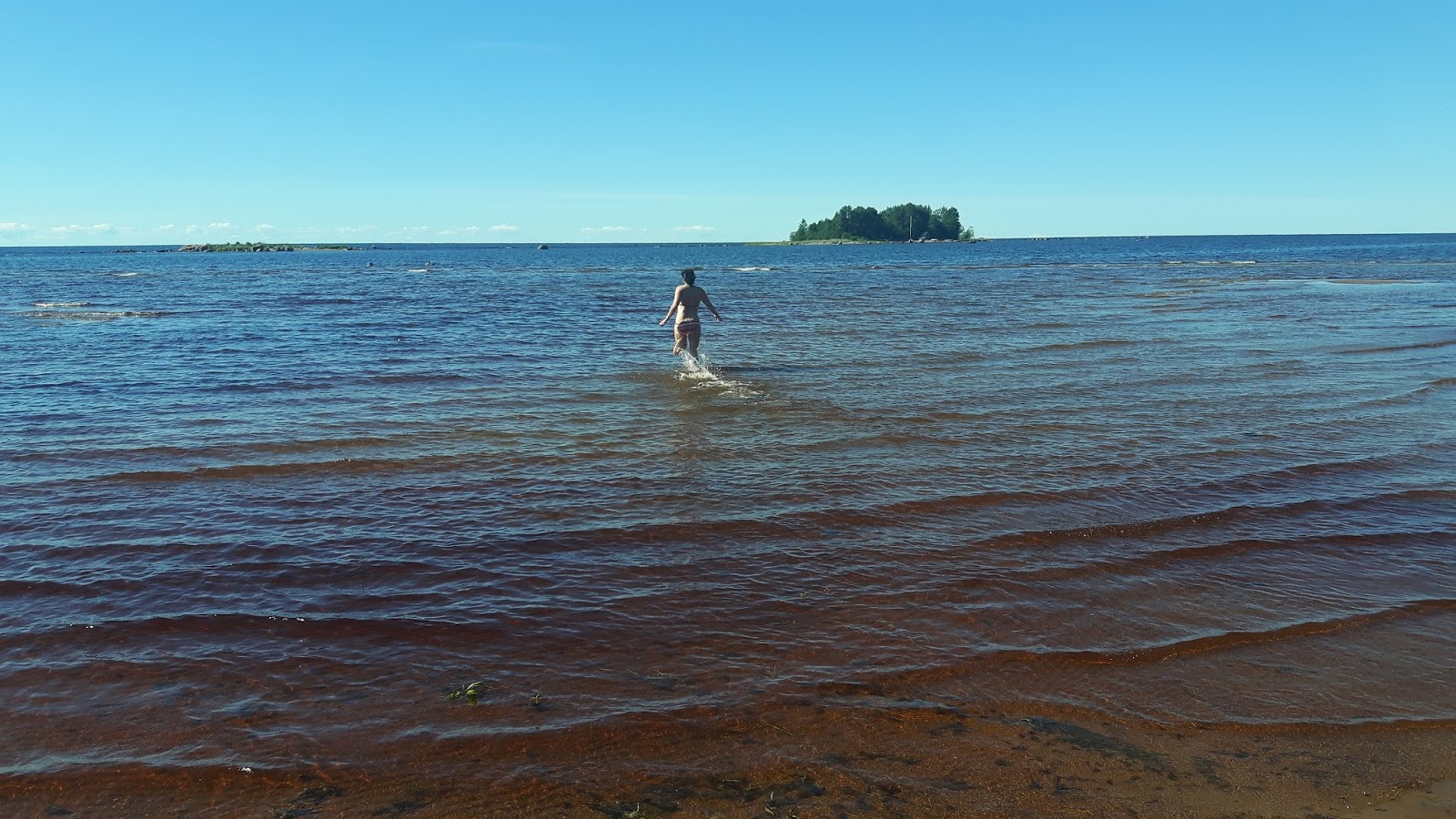 cias1975: 19 juli 2016