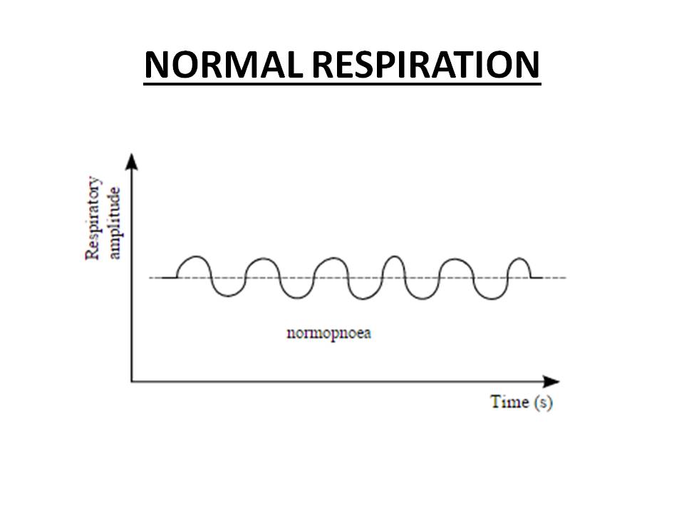 MEDICAL-SURGICAL NURSING REVIEW: QUICK OVERVIEW OF RESPIRATORY PATTERNS