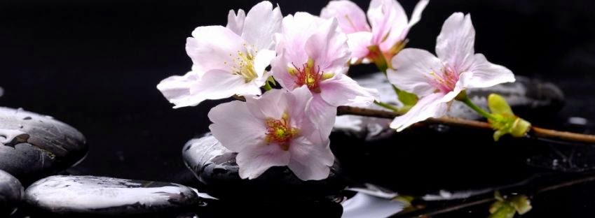 Zen Relaxation Backgrounds: Zen & Peace Facebook Cover Pics