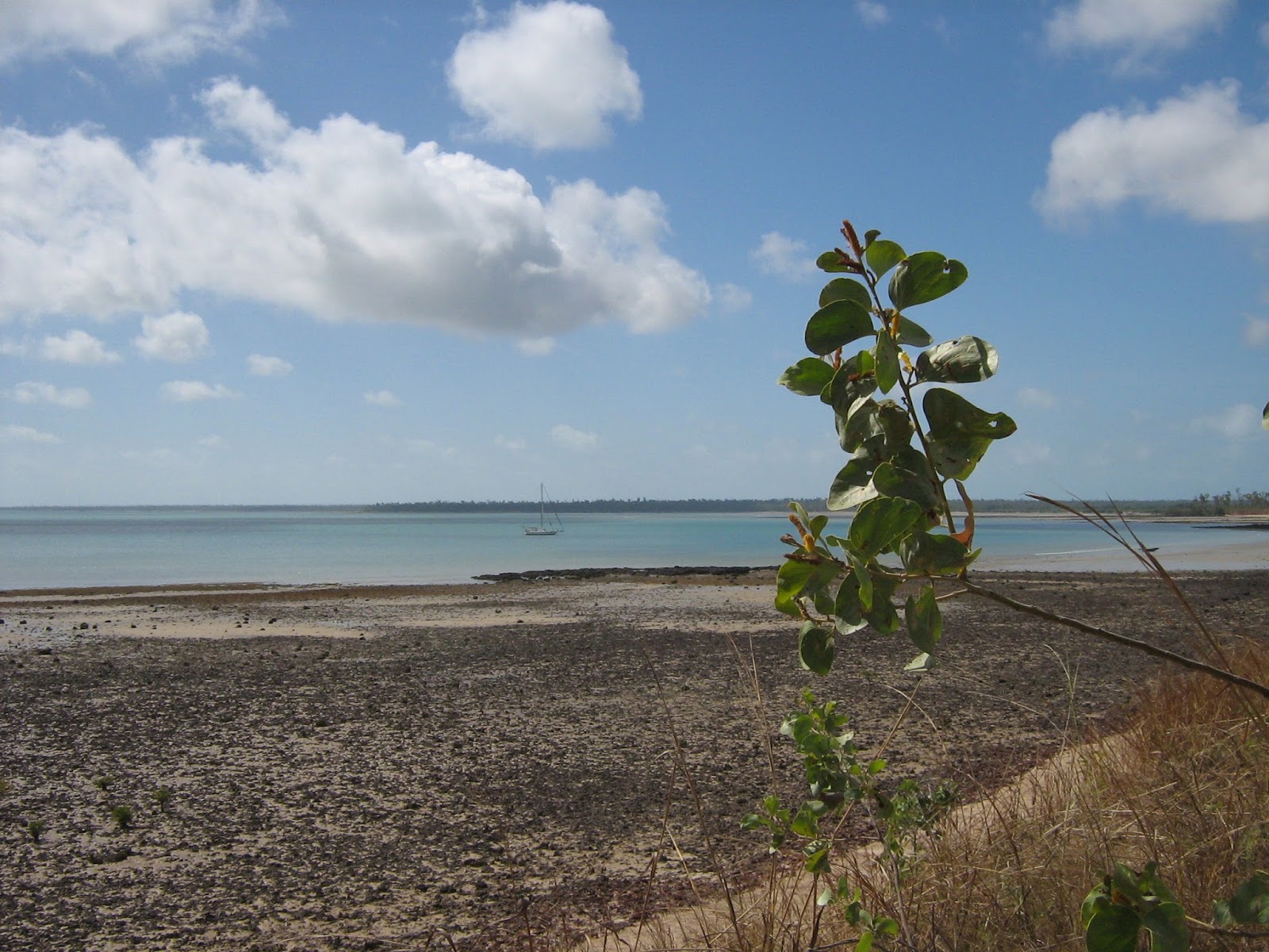 RJP BOF: Goulburn Islands to Port Essington