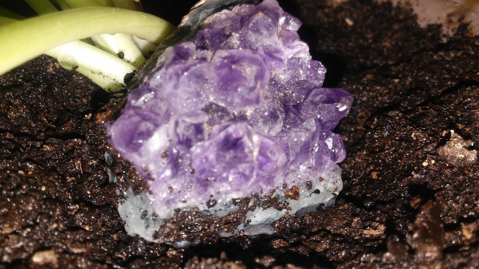 Crystals Crying - Mother Earth - Reaped of Her Energies