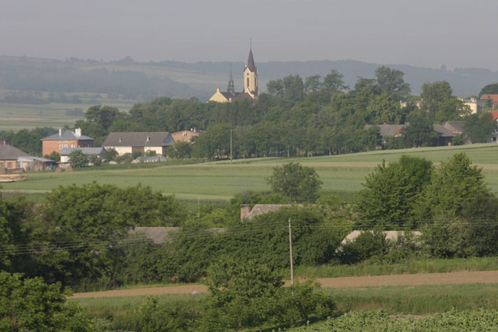 Bieganski the Blog: The Markowa Project. Proposal.