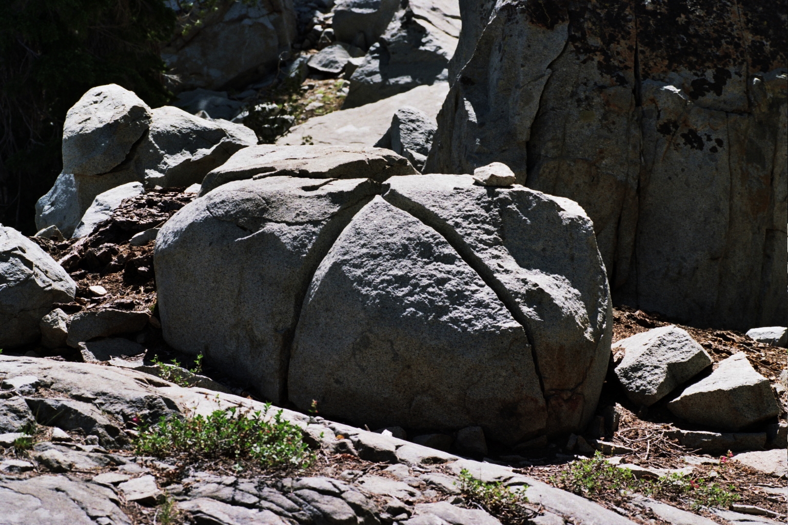 americanature: Desolation Wilderness V - Geology Rocks!