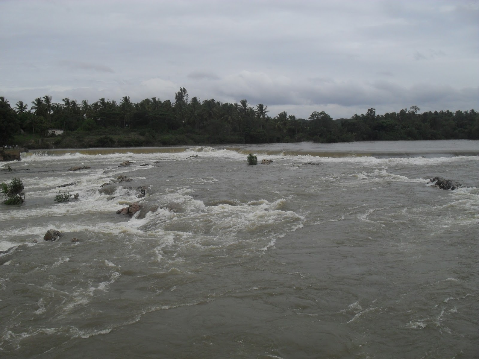 YENNAAR: River Kaveri - A Sacred, Benevolent and Enchanting Voyage