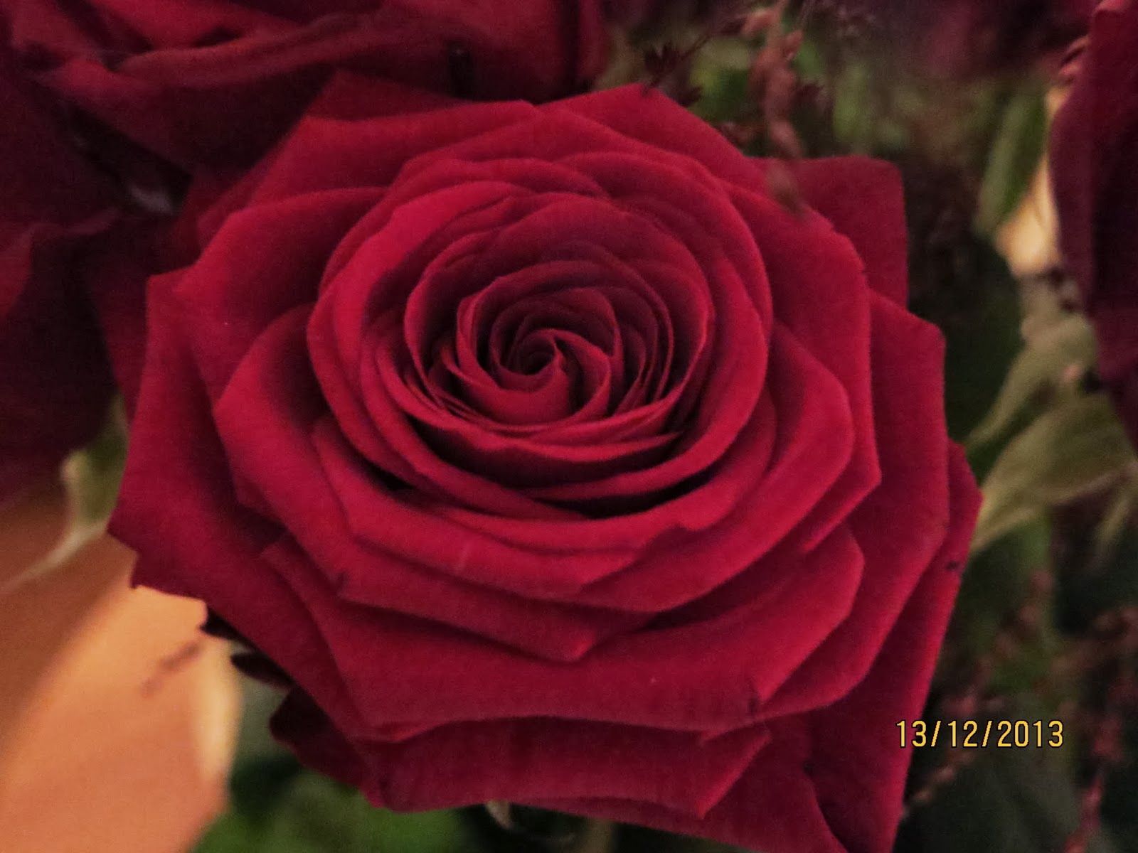 Malins bilder: Röda rosor